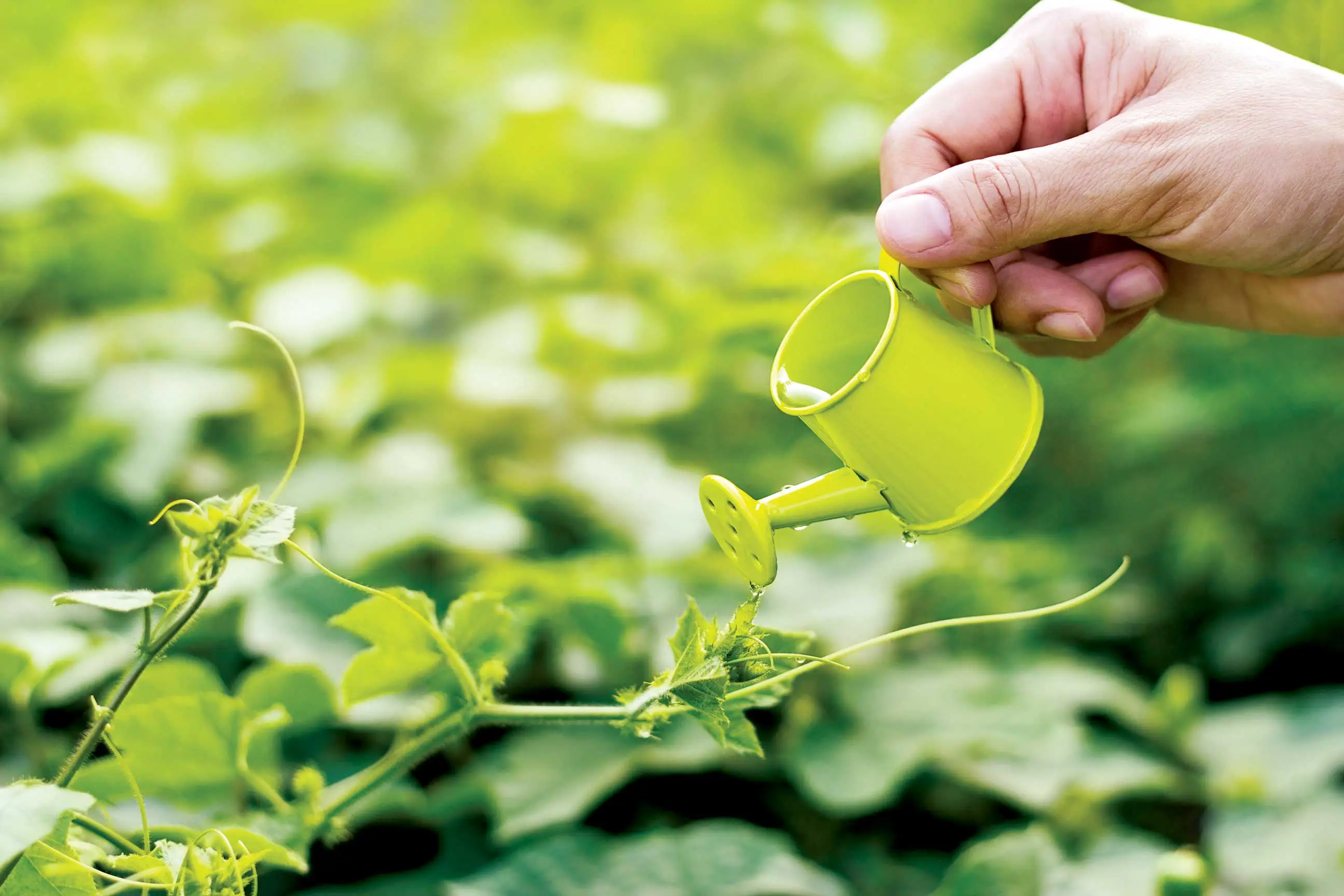 VOC Removal Unit for Industrial Air Purification | Aqoza